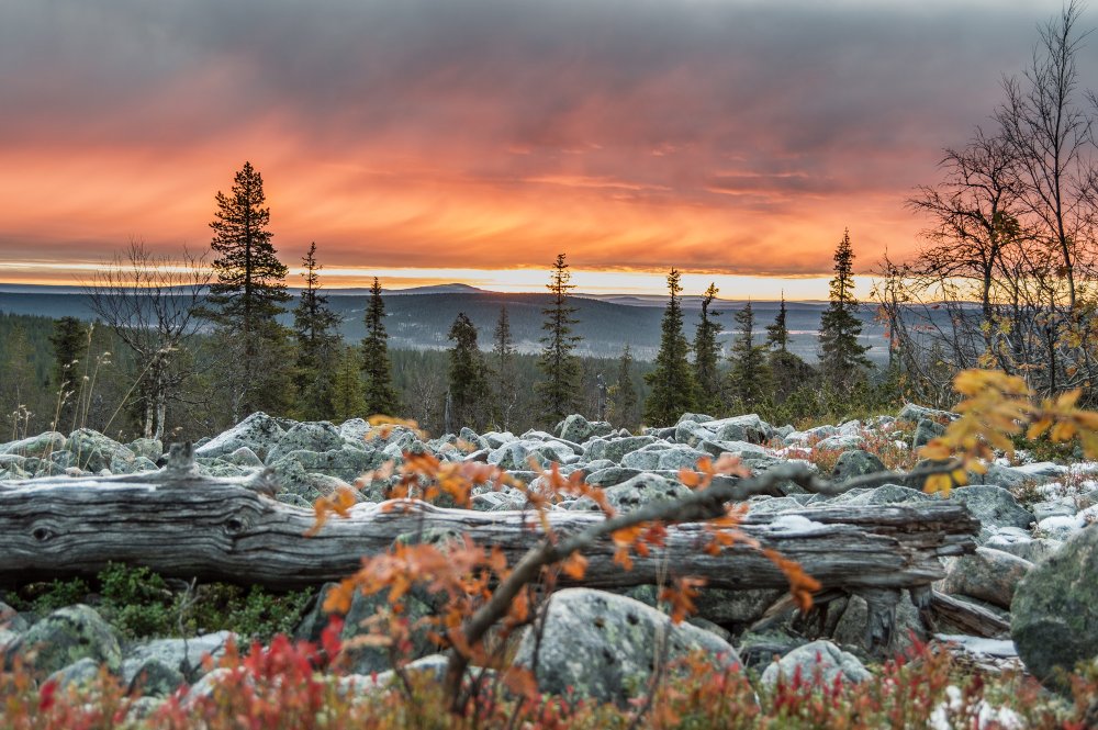 Finnland-Sommerurlaub in Levi (Lappland) | 8 Tage