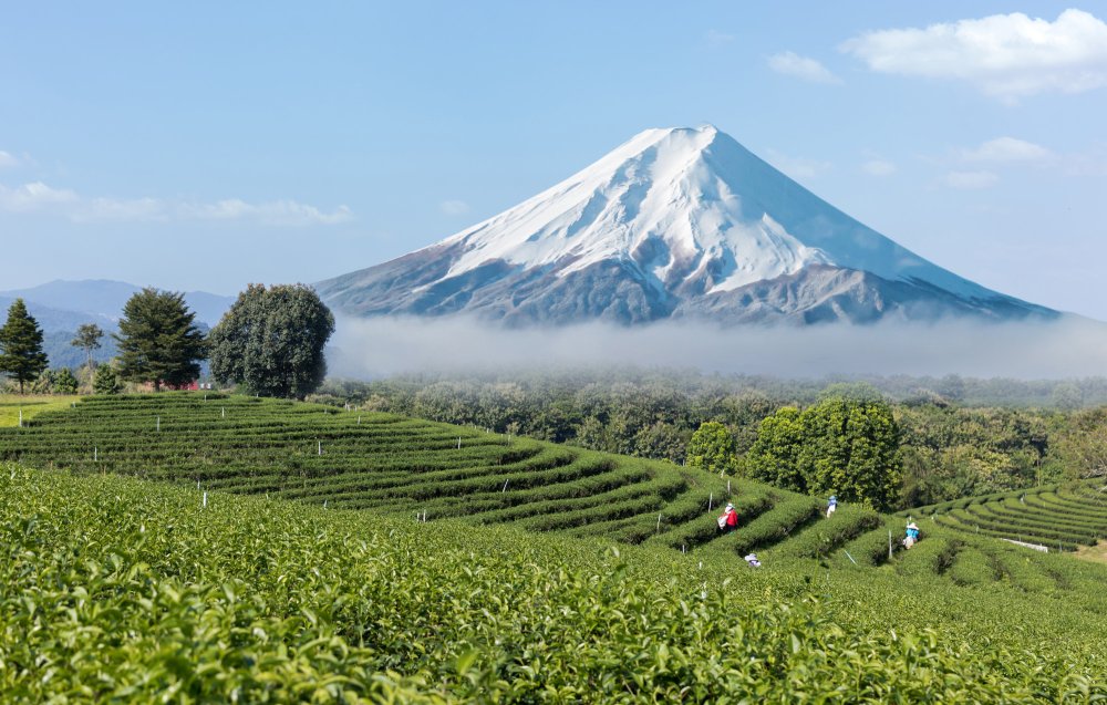Japan Rundreise zu den Highlights | Kleine Gruppen (16 Tage)