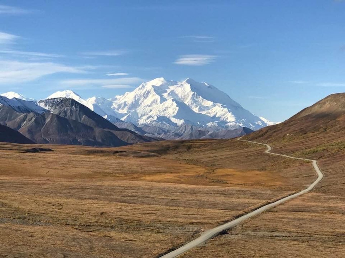 Der Denali Nationalpark: Erlebe Alaskas pure Wildnis