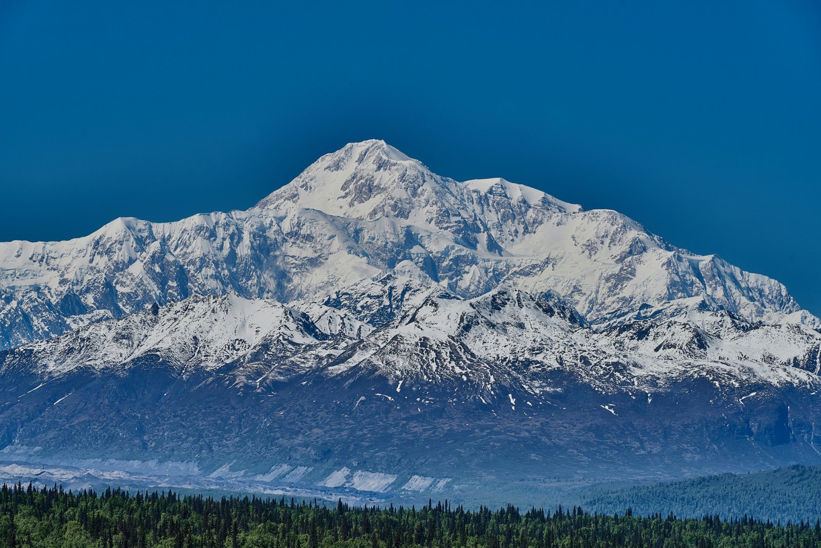 Der Denali Nationalpark: Erlebe Alaskas pure Wildnis