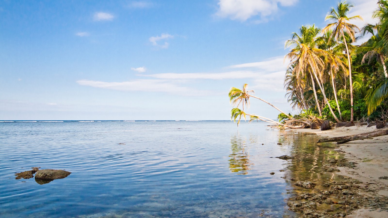 Cahuita Nationalpark: Traumstrände & Regenwald in Costa Rica