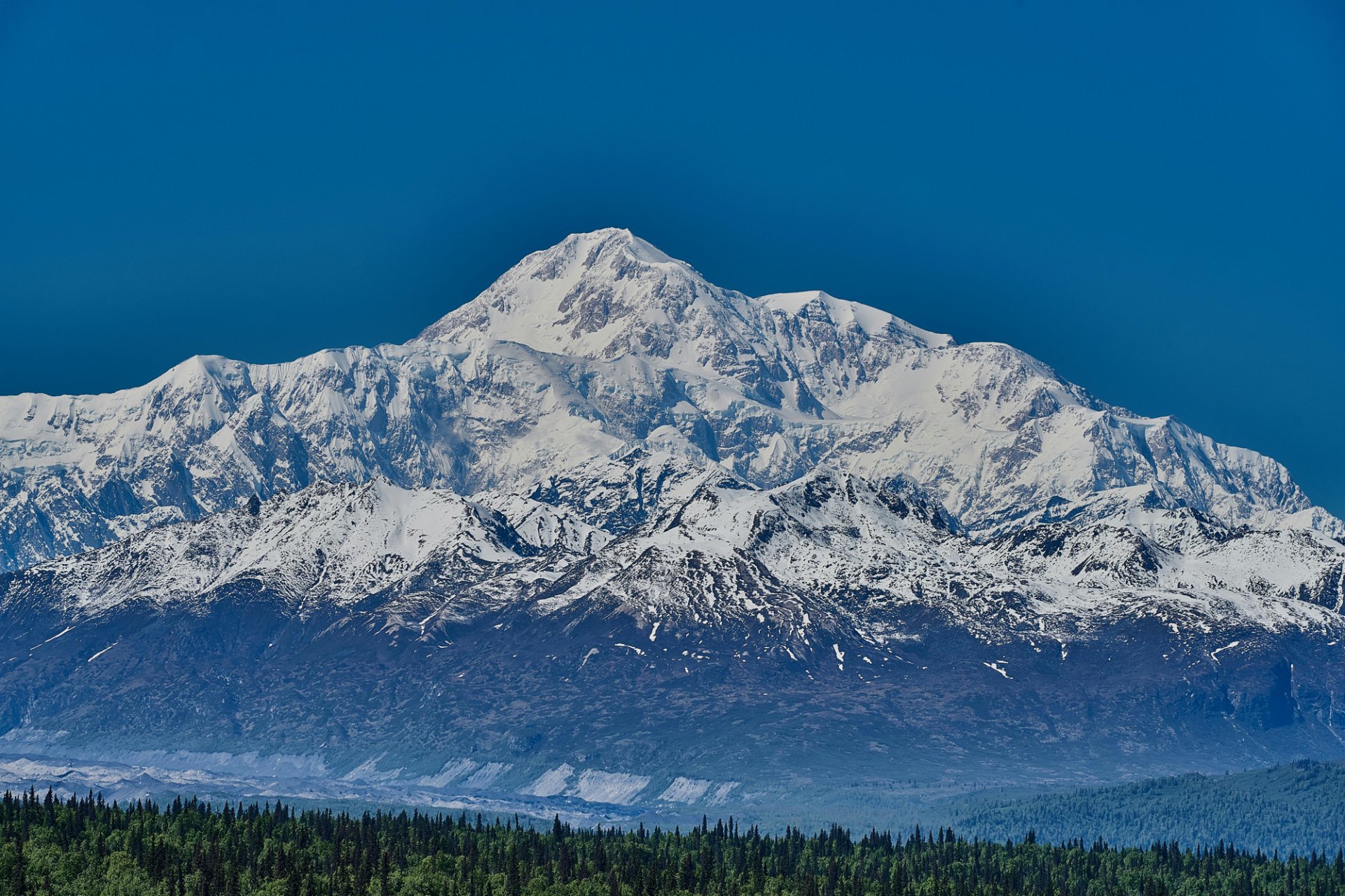Der Denali Nationalpark: Erlebe Alaskas pure Wildnis