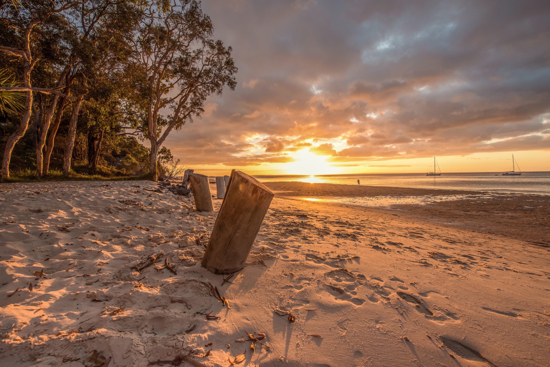 Fraser Island in Australien: Die größte Sandinsel der Welt