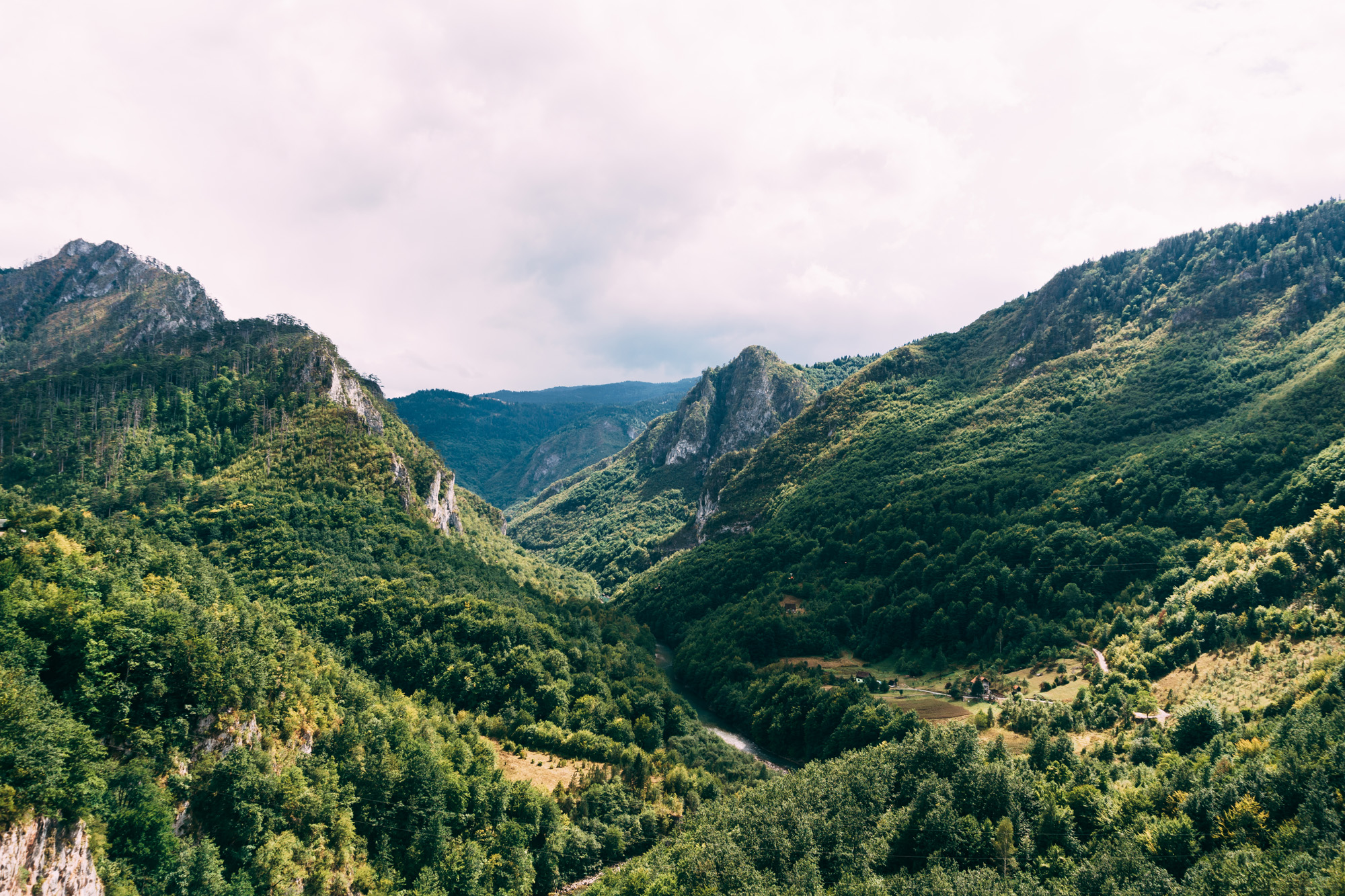 Tara Canyon – Europas tiefste Schlucht erleben