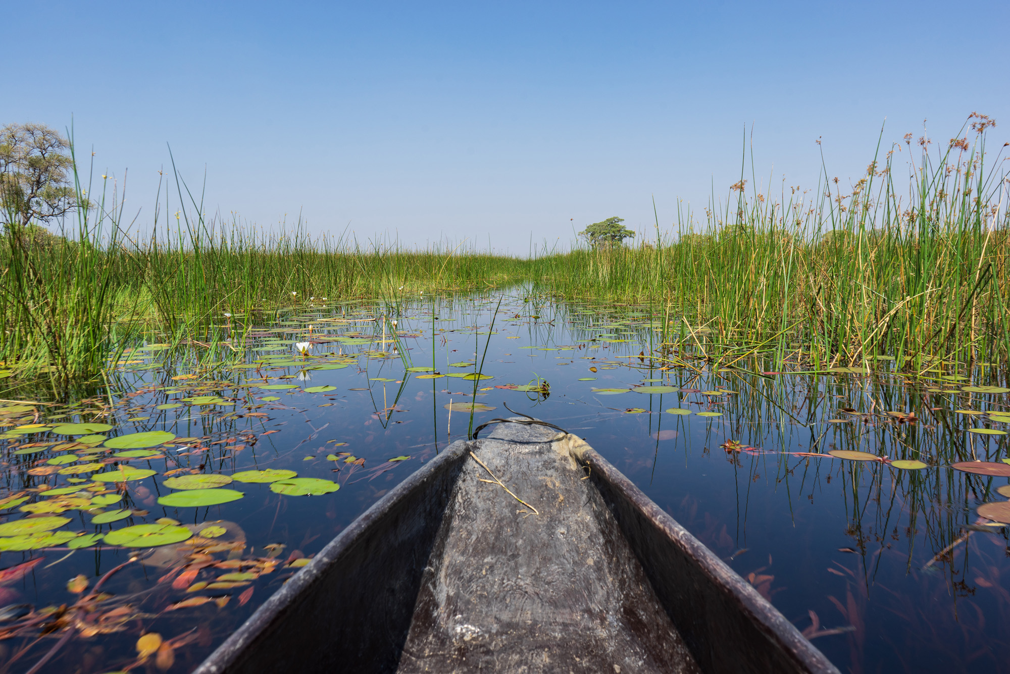 Okavango Delta – Tierparadies und Naturwunder in Botswana