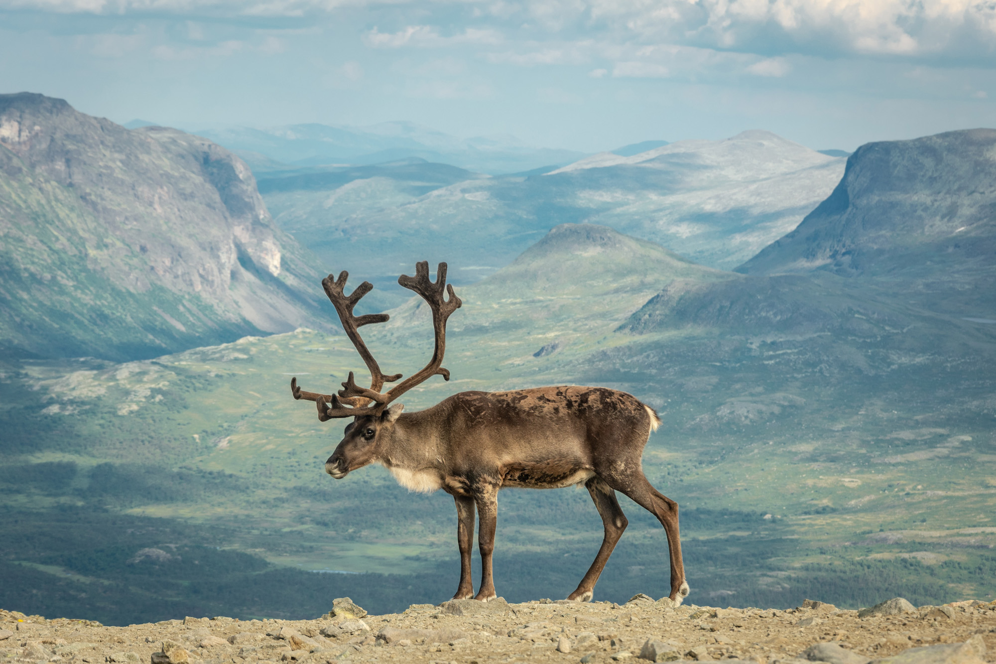 Jotunheimen Nationalpark: Norwegens Heimat der Riesen