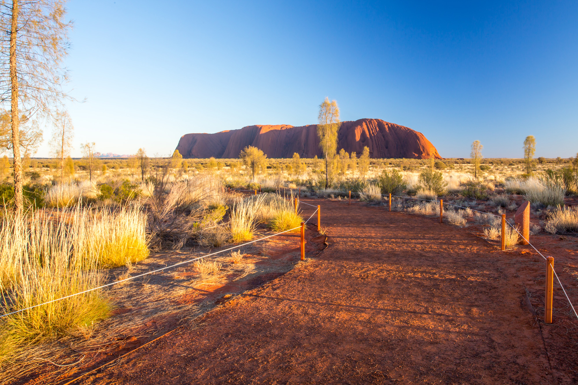 Uluru: Das Herz Australiens entdecken und erleben